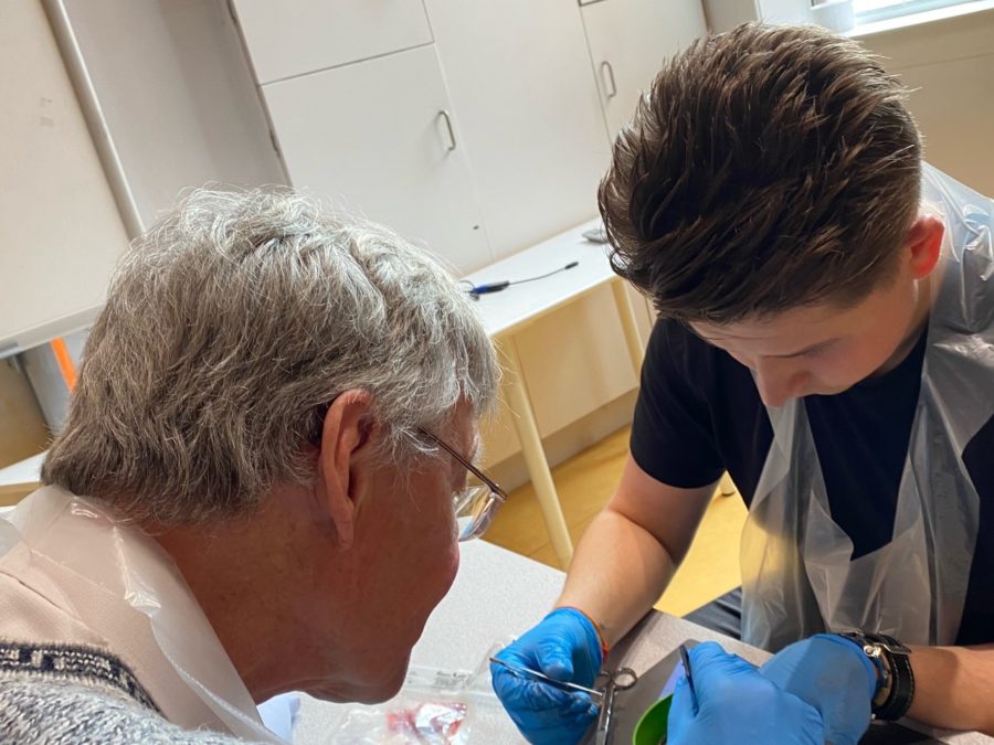 Learning to Dissect an Eye - Thackray Museum of Medicine